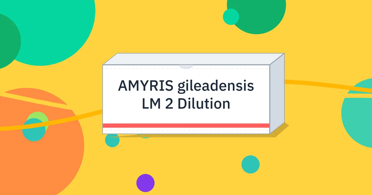 Symbolbild: Packung mit der Aufschrift AMYRIS gileadensis LM 2 Dilution (PZN 13326849) – Verfügbarkeit und Bezug in Apotheken in Frankfurt am Main