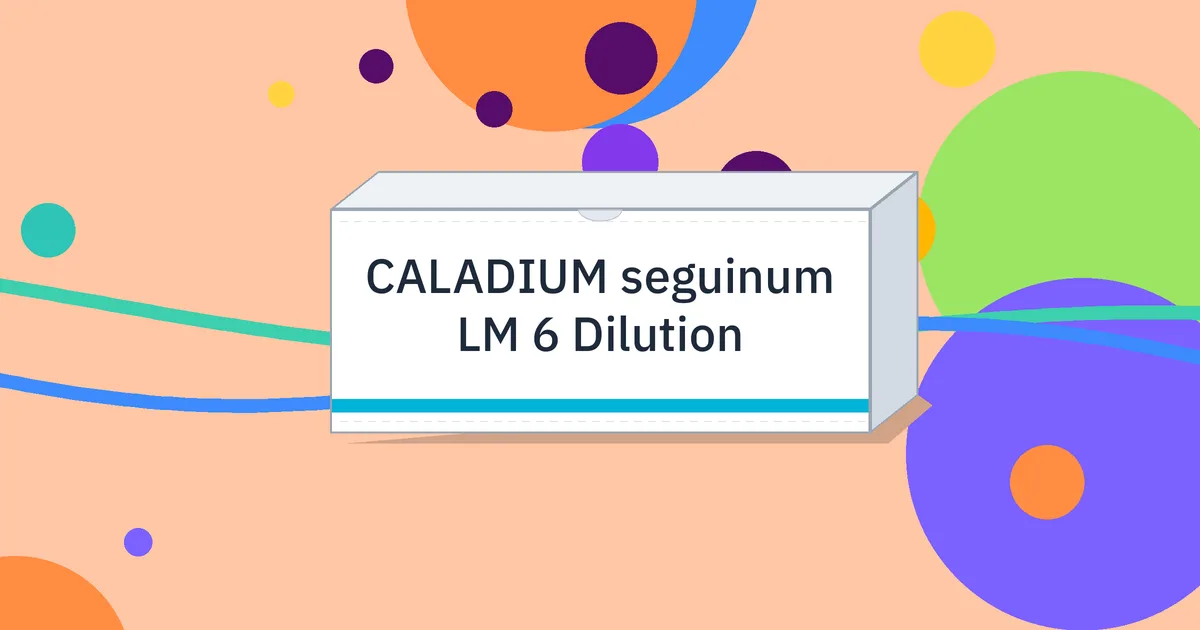 Symbolbild: Packung mit der Aufschrift CALADIUM seguinum LM 6 Dilution (PZN 13403691) – Verfügbarkeit und Bezug in Apotheken in Frankfurt am Main