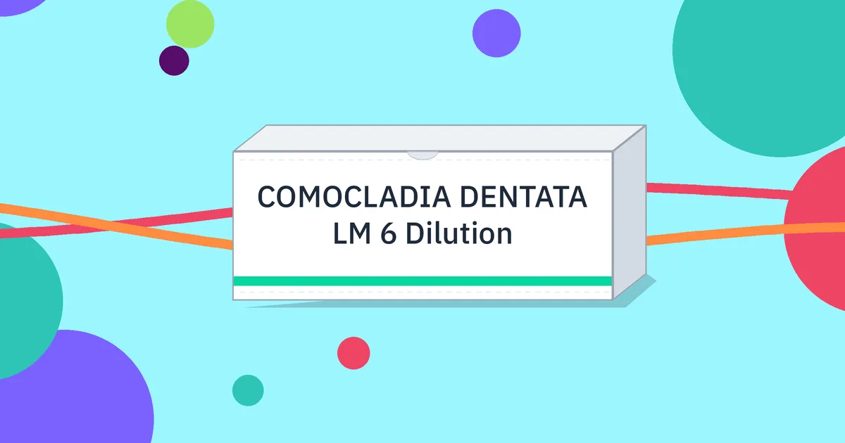 Symbolbild: Packung mit der Aufschrift COMOCLADIA DENTATA LM 6 Dilution (PZN 13449144) – Verfügbarkeit und Bezug in Apotheken in Frankfurt am Main