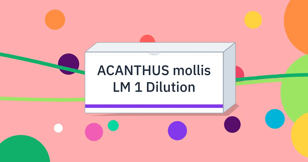 Symbolbild: Packung mit der Aufschrift ACANTHUS mollis LM 1 Dilution (PZN 13262960) – Verfügbarkeit und Bezug in Apotheken in Frankfurt am Main