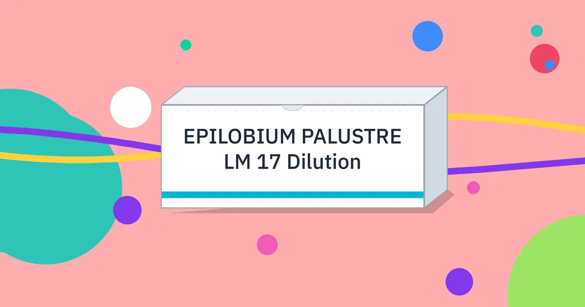 Symbolbild: Packung mit der Aufschrift EPILOBIUM PALUSTRE LM 17 Dilution (PZN 13472166) – Verfügbarkeit und Bezug in Apotheken in Frankfurt am Main