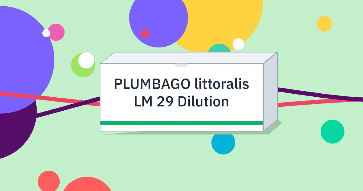 Symbolbild: Packung mit der Aufschrift PLUMBAGO littoralis LM 29 Dilution (PZN 13649222) – Verfügbarkeit und Bezug in Apotheken in Frankfurt am Main