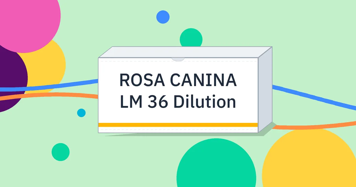 Symbolbild: Packung mit der Aufschrift ROSA CANINA LM 36 Dilution (PZN 13055563) – Verfügbarkeit und Bezug in Apotheken in Frankfurt am Main