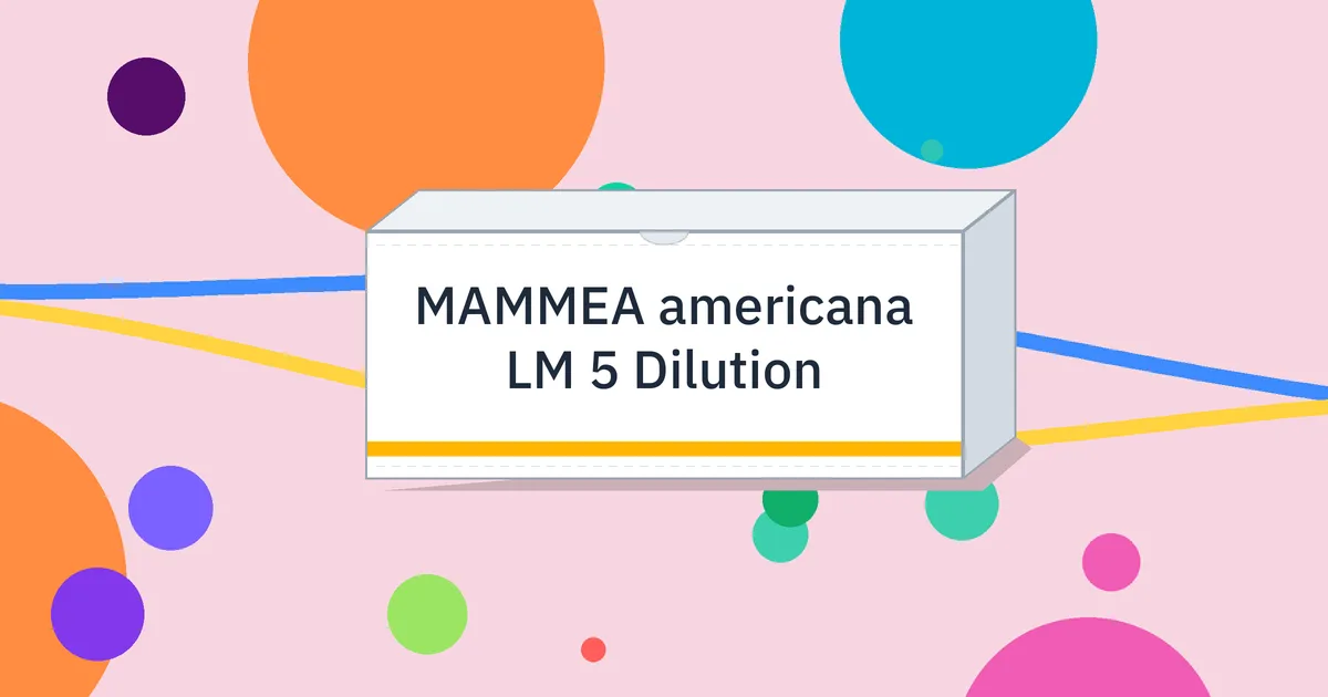 Symbolbild: Packung mit der Aufschrift MAMMEA americana LM 5 Dilution (PZN 13540264) – Verfügbarkeit und Bezug in Apotheken in Frankfurt am Main