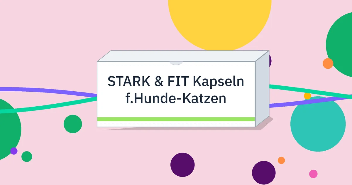 Symbolbild: Packung mit der Aufschrift STARK & FIT Kapseln f.Hunde-Katzen (PZN 19459480) – Verfügbarkeit und Bezug in Apotheken in Frankfurt am Main