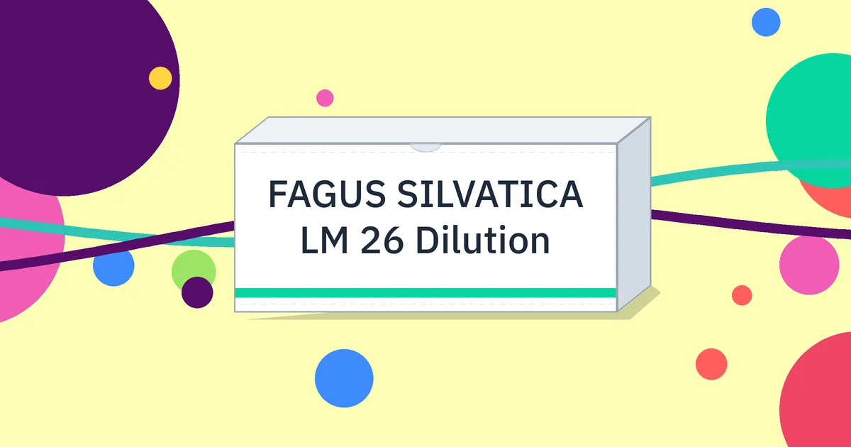 Symbolbild: Packung mit der Aufschrift FAGUS SILVATICA LM 26 Dilution (PZN 13487127) – Verfügbarkeit und Bezug in Apotheken in Frankfurt am Main