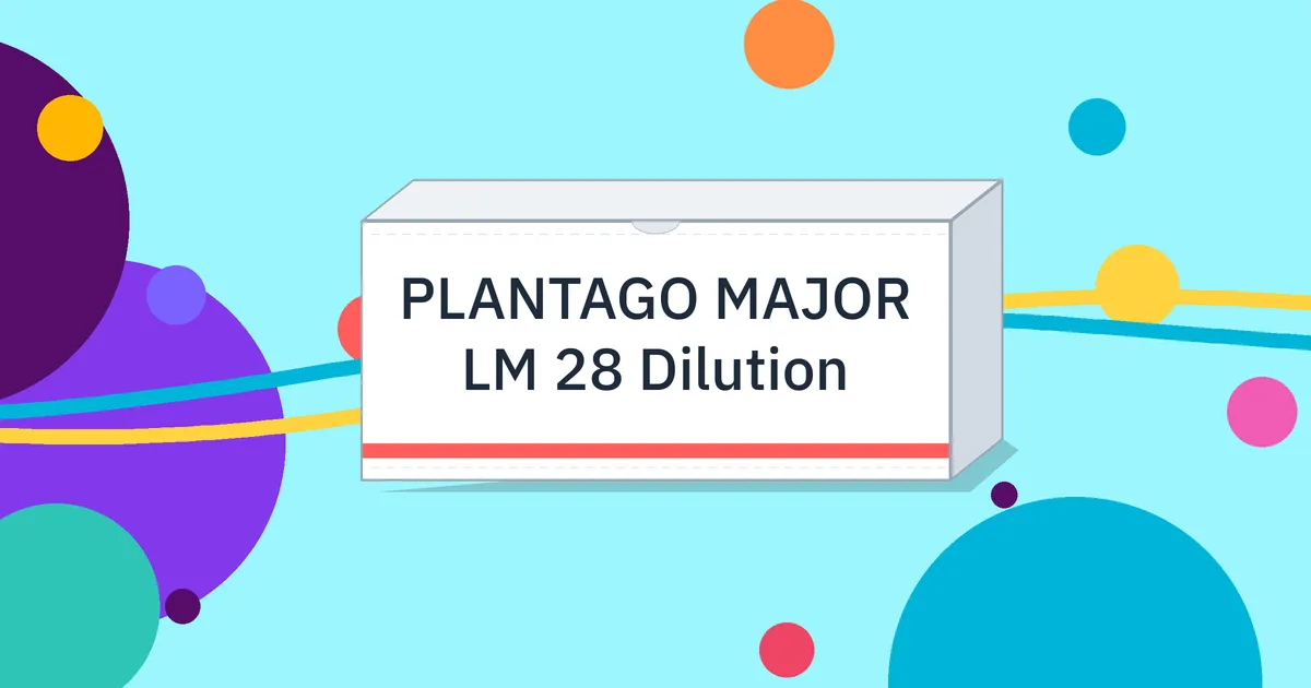 Symbolbild: Packung mit der Aufschrift PLANTAGO MAJOR LM 28 Dilution (PZN 13646904) – Verfügbarkeit und Bezug in Apotheken in Frankfurt am Main