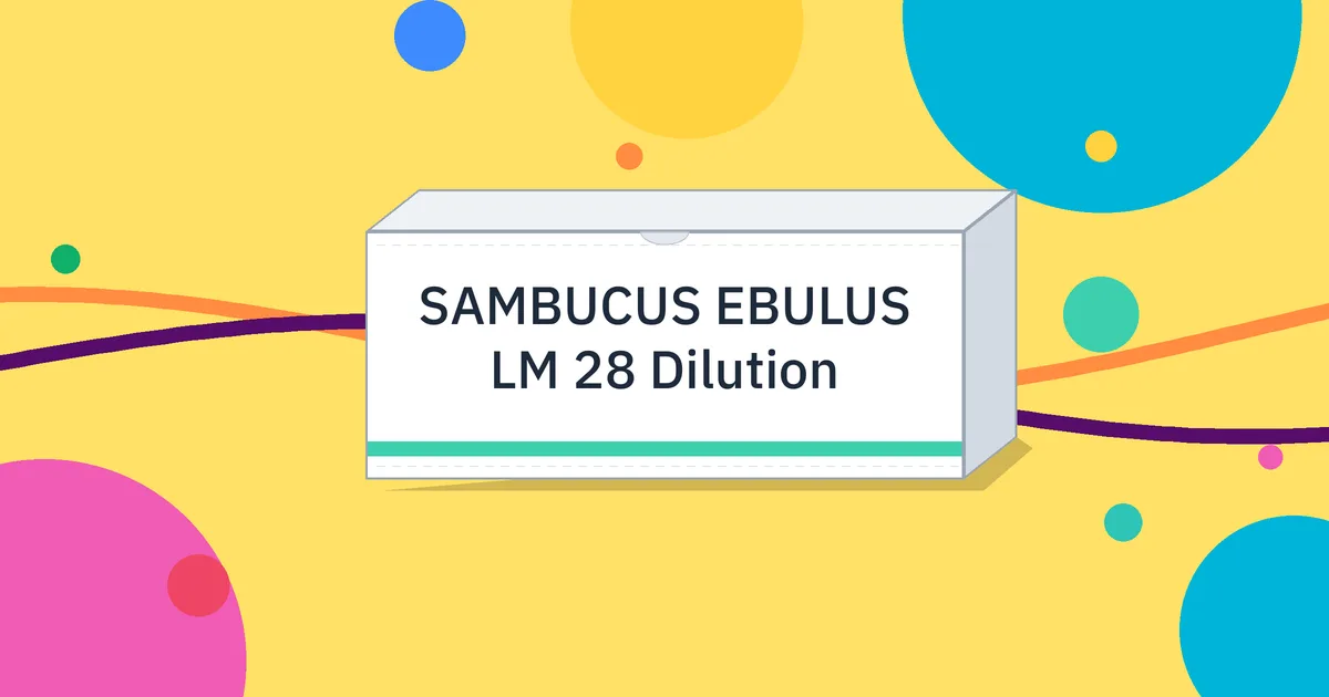 Symbolbild: Packung mit der Aufschrift SAMBUCUS EBULUS LM 28 Dilution (PZN 13180601) – Verfügbarkeit und Bezug in Apotheken in Frankfurt am Main