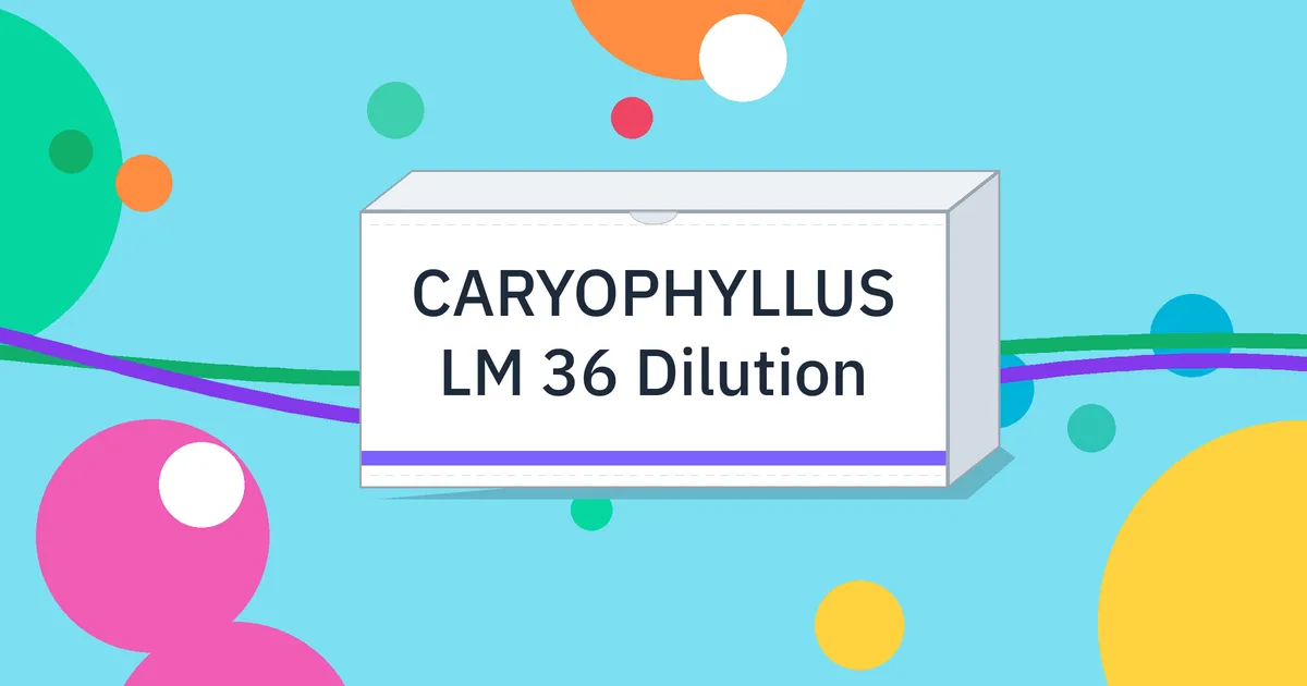 Symbolbild: Packung mit der Aufschrift CARYOPHYLLUS LM 36 Dilution (PZN 13432190) – Verfügbarkeit und Bezug in Apotheken in Frankfurt am Main
