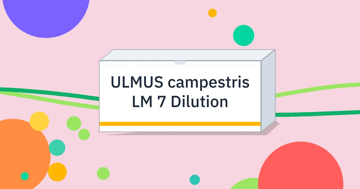 Symbolbild: Packung mit der Aufschrift ULMUS campestris LM 7 Dilution (PZN 13255233) – Verfügbarkeit und Bezug in Apotheken in Frankfurt am Main