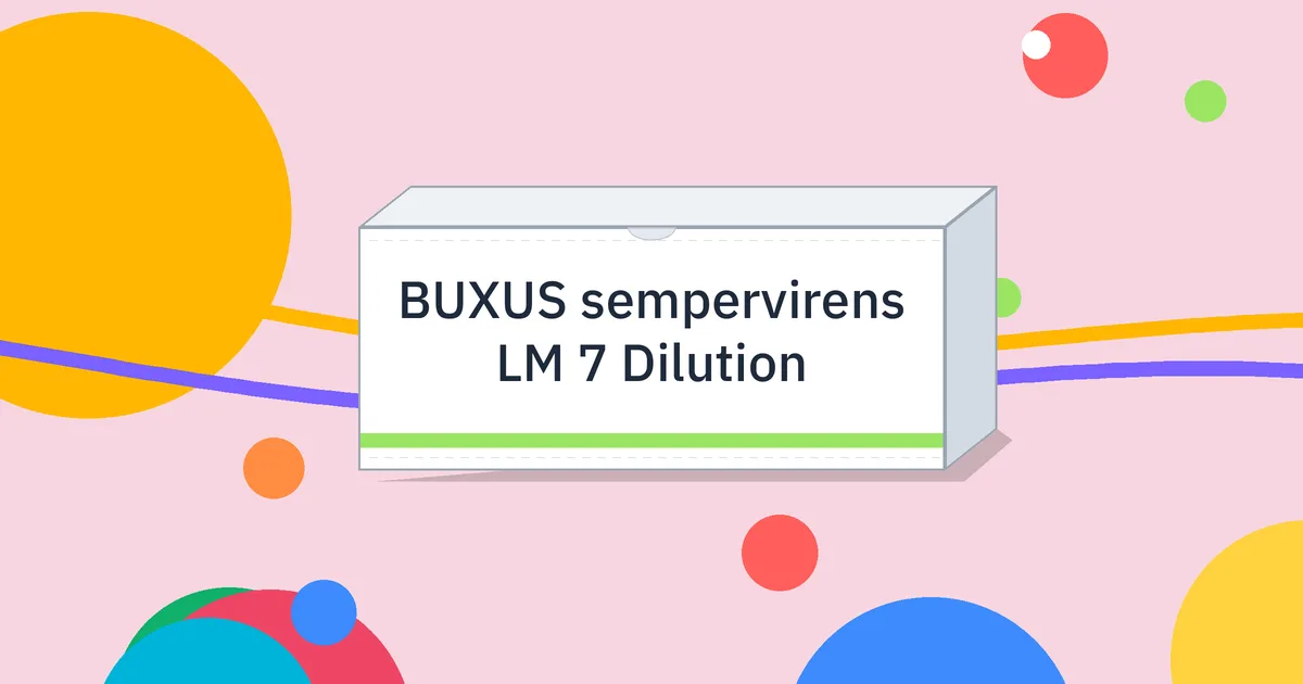 Symbolbild: Packung mit der Aufschrift BUXUS sempervirens LM 7 Dilution (PZN 13399073) – Verfügbarkeit und Bezug in Apotheken in Frankfurt am Main