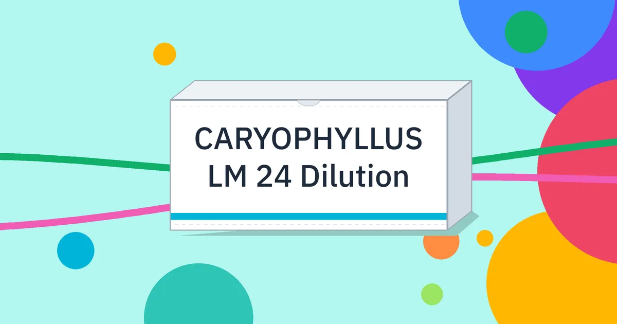 Symbolbild: Packung mit der Aufschrift CARYOPHYLLUS LM 24 Dilution (PZN 13432103) – Verfügbarkeit und Bezug in Apotheken in Frankfurt am Main