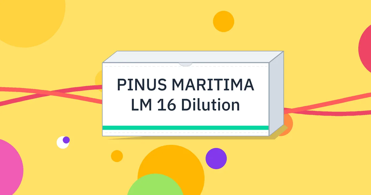 Symbolbild: Packung mit der Aufschrift PINUS MARITIMA LM 16 Dilution (PZN 13644377) – Verfügbarkeit und Bezug in Apotheken in Frankfurt am Main