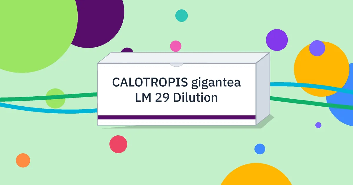 Symbolbild: Packung mit der Aufschrift CALOTROPIS gigantea LM 29 Dilution (PZN 13411331) – Verfügbarkeit und Bezug in Apotheken in Frankfurt am Main