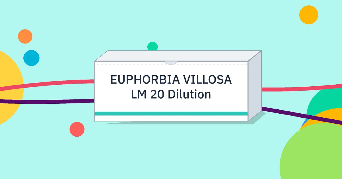 Symbolbild: Packung mit der Aufschrift EUPHORBIA VILLOSA LM 20 Dilution (PZN 13482845) – Verfügbarkeit und Bezug in Apotheken in Frankfurt am Main
