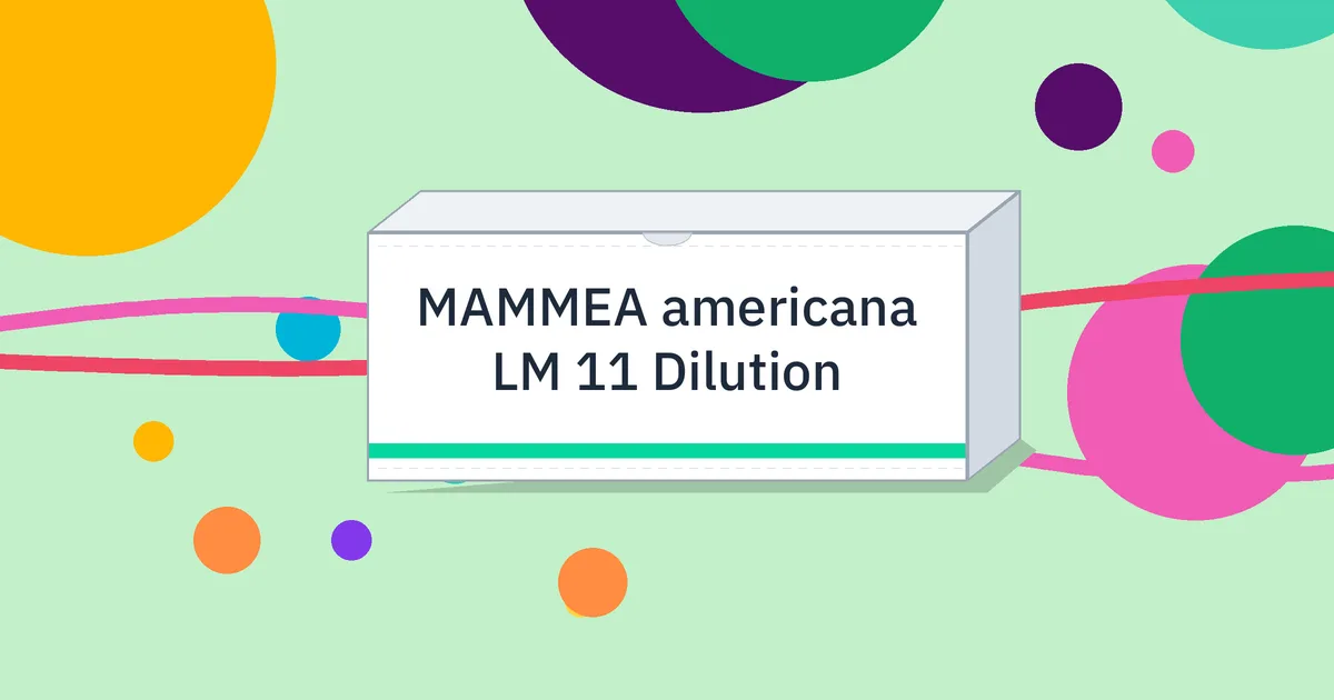 Symbolbild: Packung mit der Aufschrift MAMMEA americana LM 11 Dilution (PZN 13540324) – Verfügbarkeit und Bezug in Apotheken in Frankfurt am Main