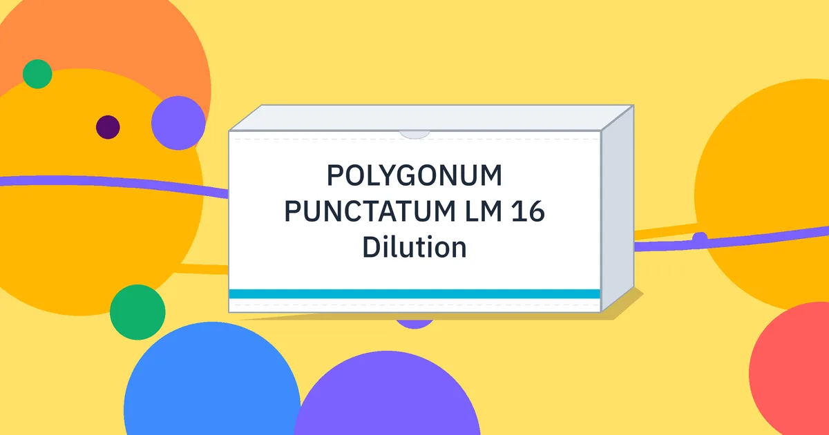 Symbolbild: Packung mit der Aufschrift POLYGONUM PUNCTATUM LM 16 Dilution (PZN 13662932) – Verfügbarkeit und Bezug in Apotheken in Frankfurt am Main