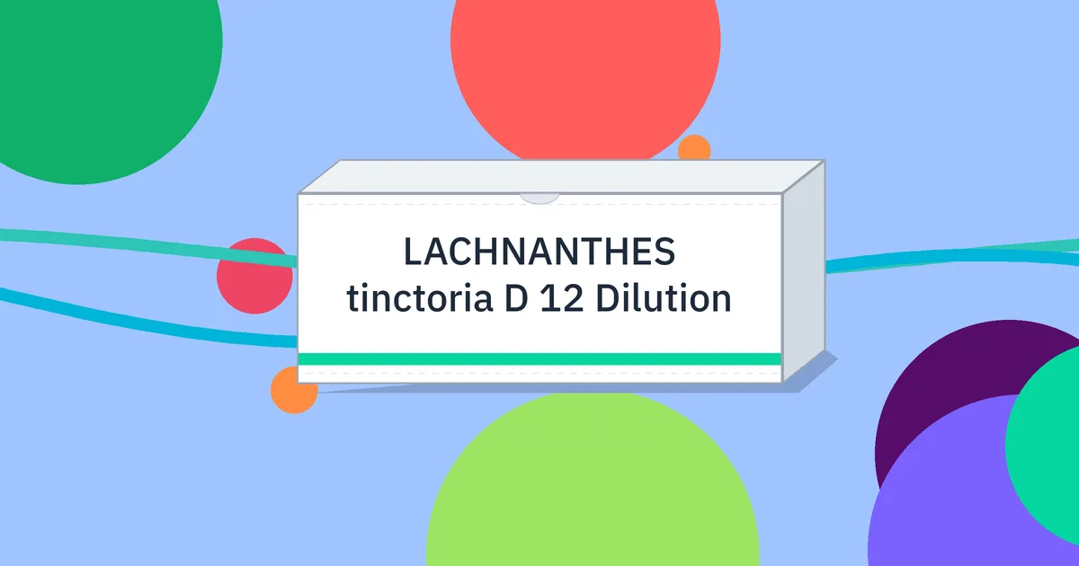 Symbolbild: Packung mit der Aufschrift LACHNANTHES tinctoria D 12 Dilution (PZN 07171816) – Verfügbarkeit und Bezug in Apotheken in Frankfurt am Main