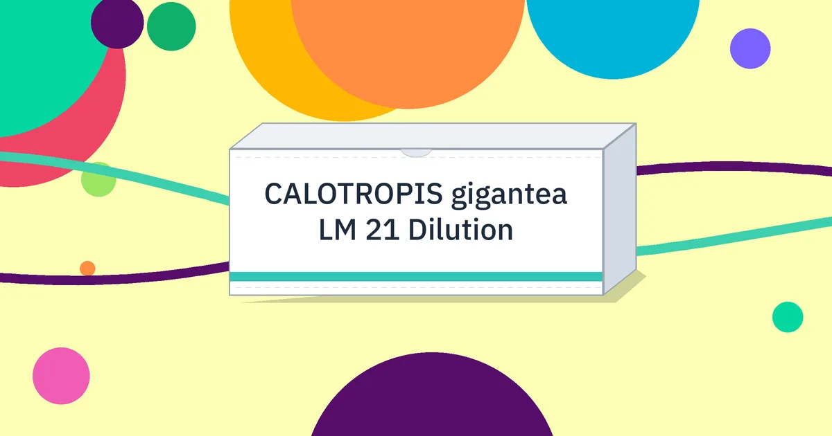 Symbolbild: Packung mit der Aufschrift CALOTROPIS gigantea LM 21 Dilution (PZN 13411259) – Verfügbarkeit und Bezug in Apotheken in Frankfurt am Main