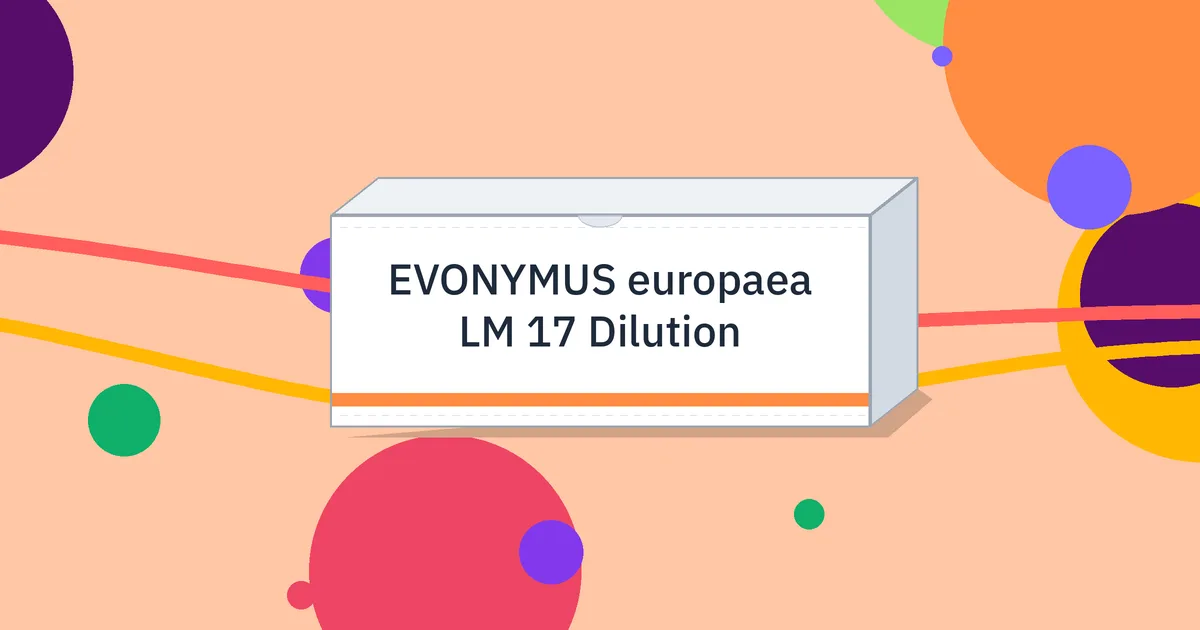 Symbolbild: Packung mit der Aufschrift EVONYMUS europaea LM 17 Dilution (PZN 13484695) – Verfügbarkeit und Bezug in Apotheken in Frankfurt am Main