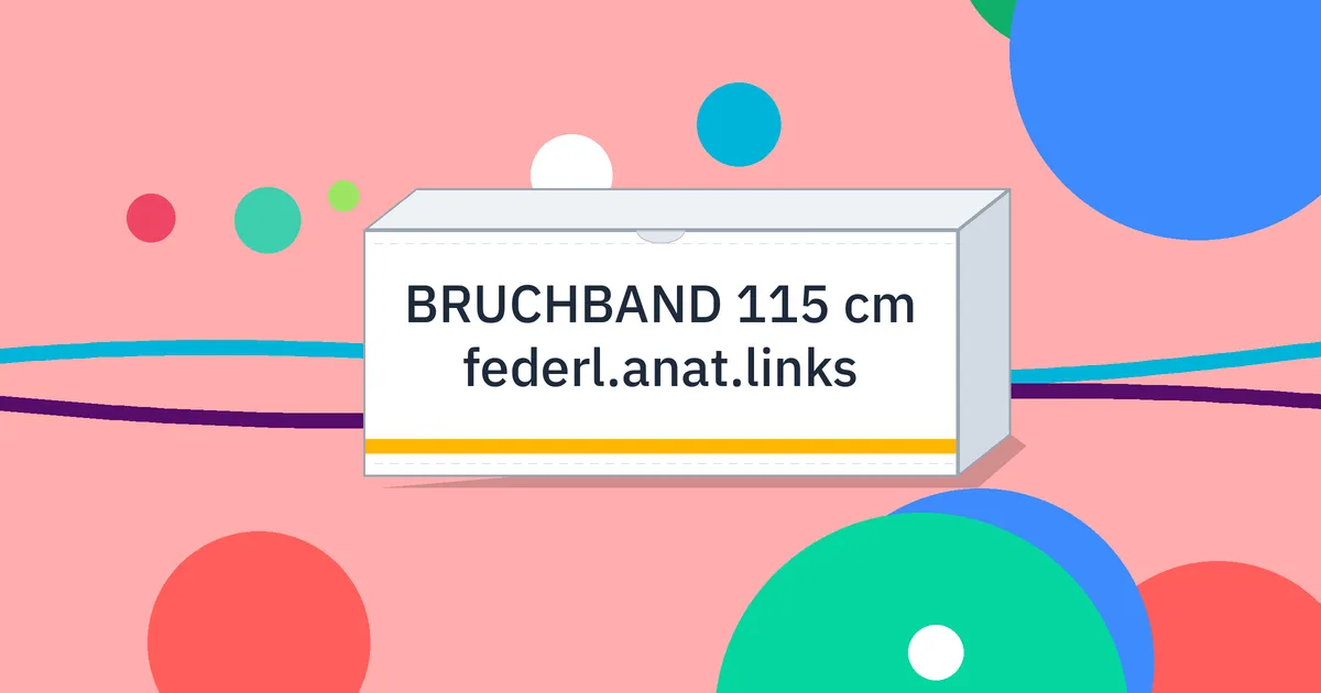 Symbolbild: Packung mit der Aufschrift BRUCHBAND 115 cm federl.anat.links (PZN 01961730) – Verfügbarkeit und Bezug in Apotheken in Frankfurt am Main
