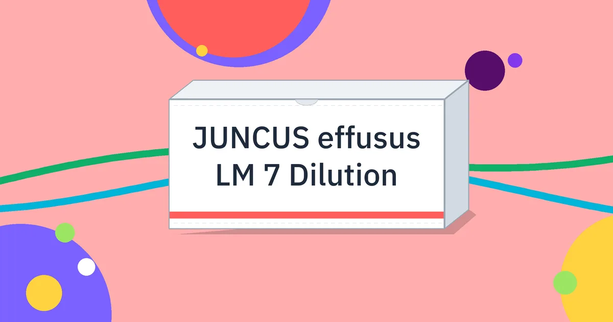 Symbolbild: Packung mit der Aufschrift JUNCUS effusus LM 7 Dilution (PZN 13564106) – Verfügbarkeit und Bezug in Apotheken in Frankfurt am Main