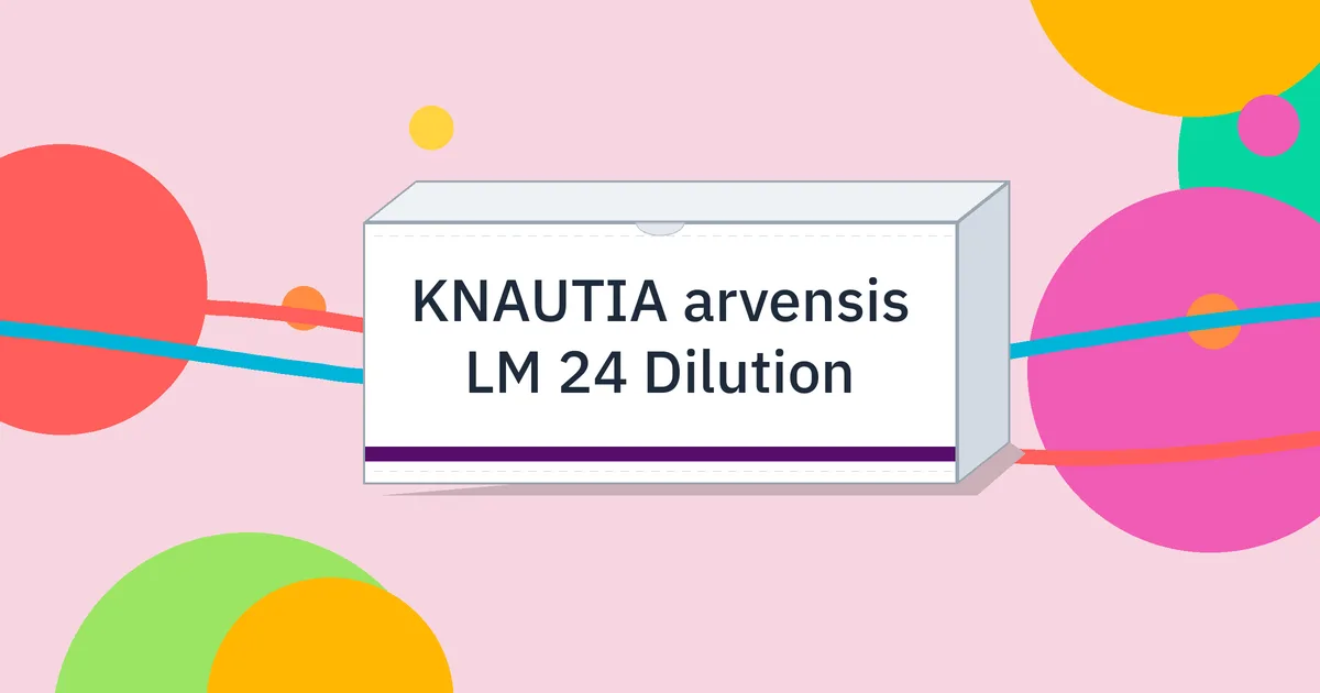 Symbolbild: Packung mit der Aufschrift KNAUTIA arvensis LM 24 Dilution (PZN 13519146) – Verfügbarkeit und Bezug in Apotheken in Frankfurt am Main