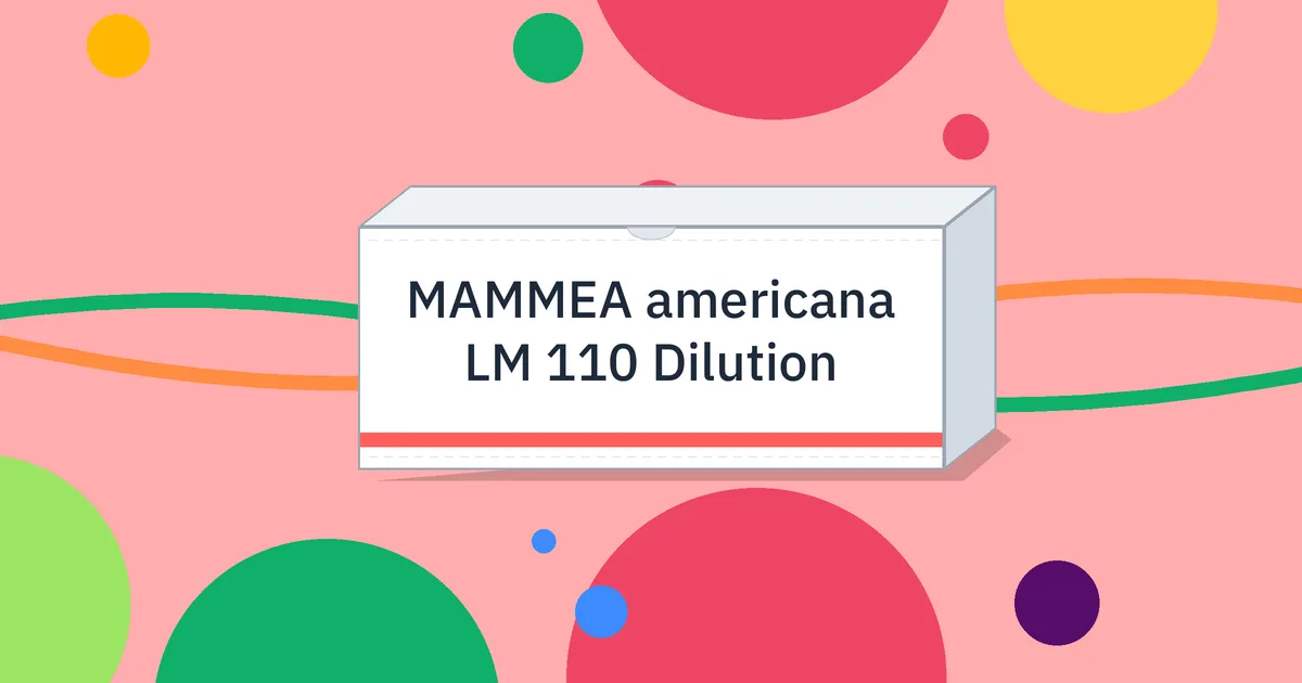 Symbolbild: Packung mit der Aufschrift MAMMEA americana LM 110 Dilution (PZN 13540643) – Verfügbarkeit und Bezug in Apotheken in Frankfurt am Main