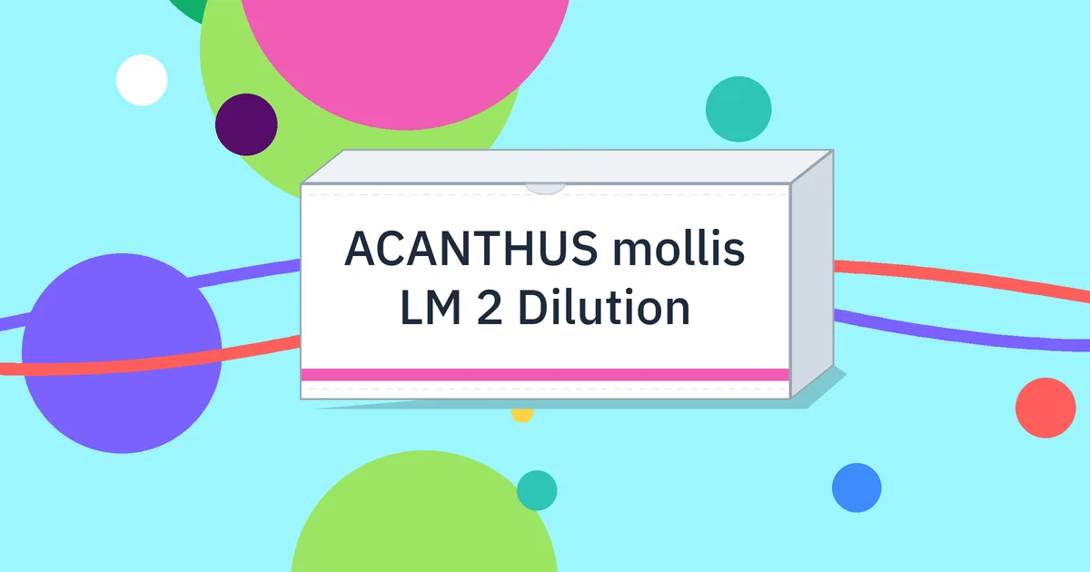 Symbolbild: Packung mit der Aufschrift ACANTHUS mollis LM 2 Dilution (PZN 13263008) – Verfügbarkeit und Bezug in Apotheken in Frankfurt am Main