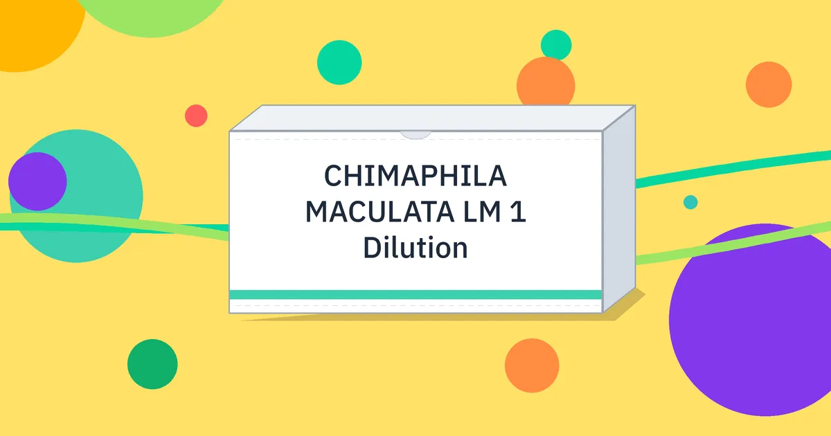 Symbolbild: Packung mit der Aufschrift CHIMAPHILA MACULATA LM 1 Dilution (PZN 13441651) – Verfügbarkeit und Bezug in Apotheken in Frankfurt am Main