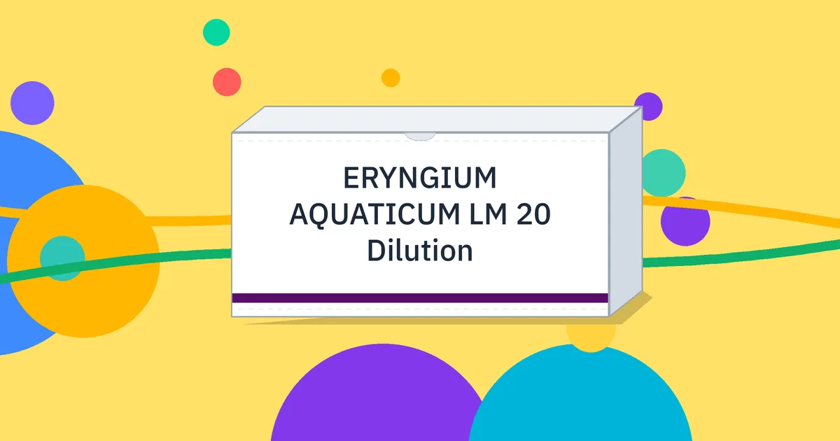 Symbolbild: Packung mit der Aufschrift ERYNGIUM AQUATICUM LM 20 Dilution (PZN 13478654) – Verfügbarkeit und Bezug in Apotheken in Frankfurt am Main