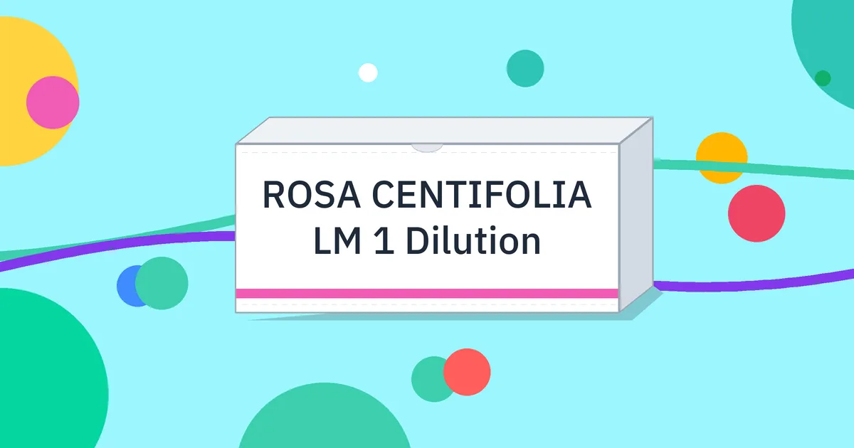 Symbolbild: Packung mit der Aufschrift ROSA CENTIFOLIA LM 1 Dilution (PZN 13055681) – Verfügbarkeit und Bezug in Apotheken in Frankfurt am Main