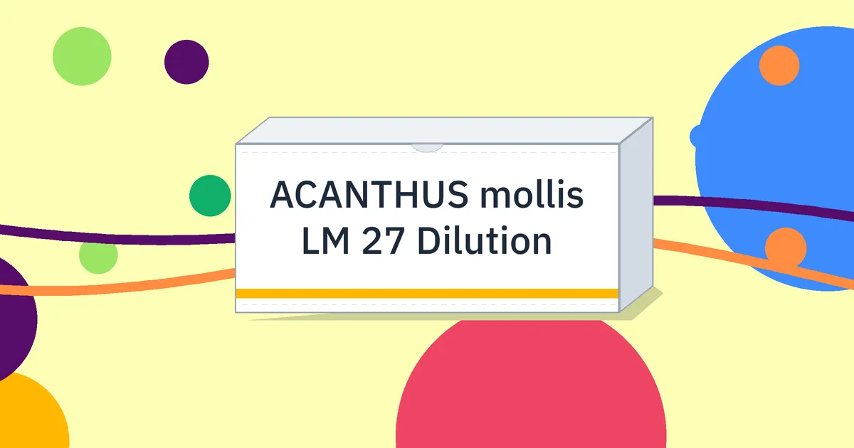 Symbolbild: Packung mit der Aufschrift ACANTHUS mollis LM 27 Dilution (PZN 13263563) – Verfügbarkeit und Bezug in Apotheken in Frankfurt am Main