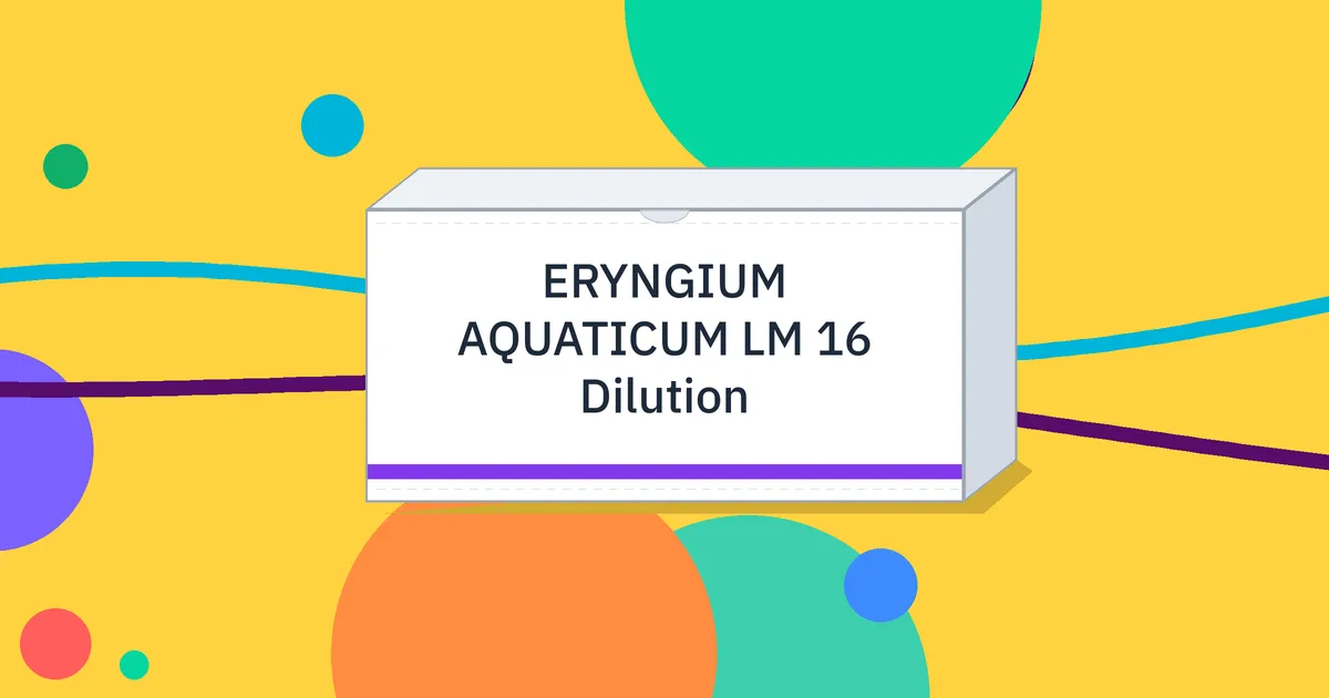 Symbolbild: Packung mit der Aufschrift ERYNGIUM AQUATICUM LM 16 Dilution (PZN 13478619) – Verfügbarkeit und Bezug in Apotheken in Frankfurt am Main