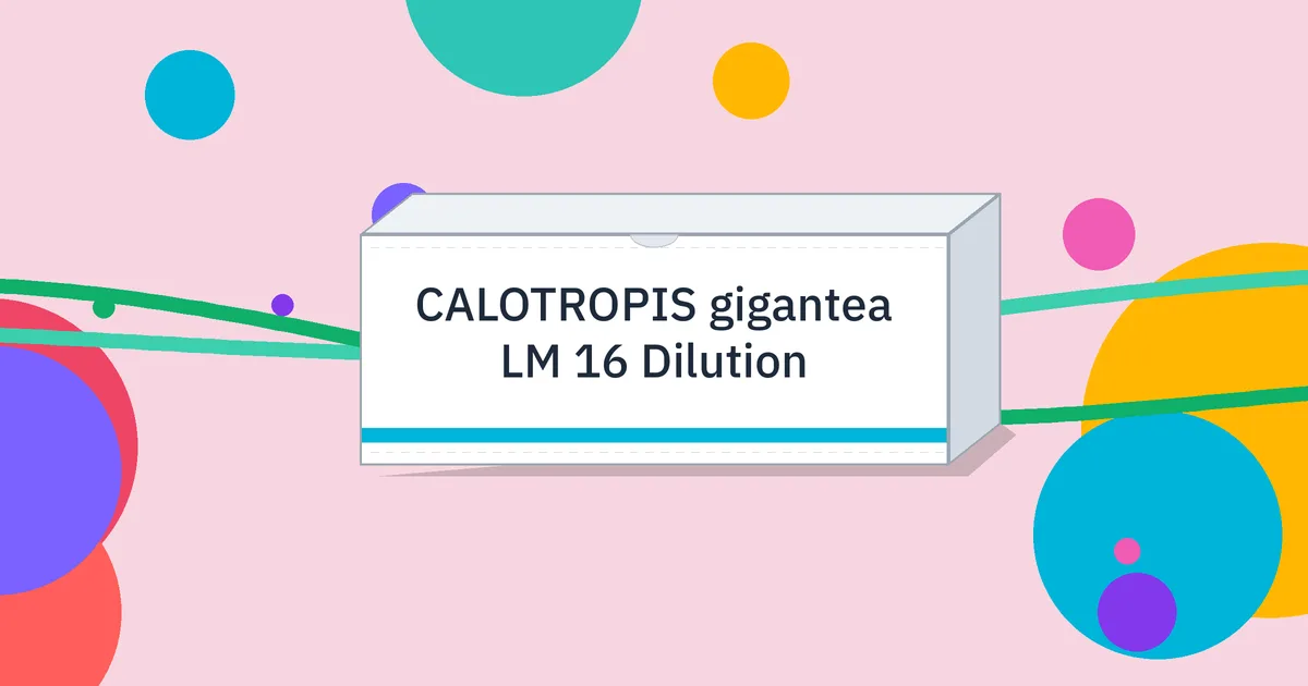 Symbolbild: Packung mit der Aufschrift CALOTROPIS gigantea LM 16 Dilution (PZN 13411182) – Verfügbarkeit und Bezug in Apotheken in Frankfurt am Main