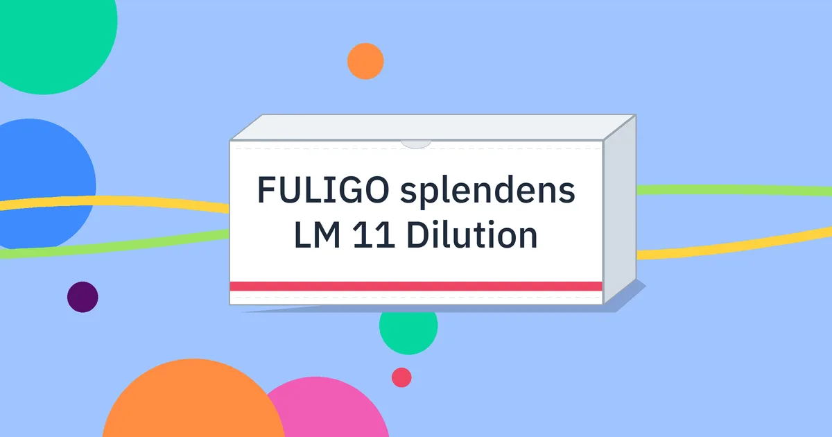 Symbolbild: Packung mit der Aufschrift FULIGO splendens LM 11 Dilution (PZN 13493406) – Verfügbarkeit und Bezug in Apotheken in Frankfurt am Main