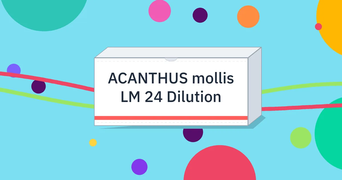 Symbolbild: Packung mit der Aufschrift ACANTHUS mollis LM 24 Dilution (PZN 13263511) – Verfügbarkeit und Bezug in Apotheken in Frankfurt am Main