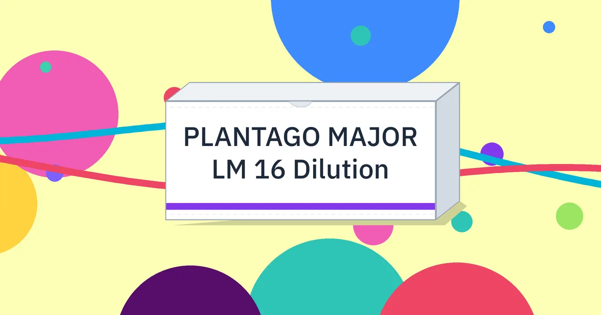 Symbolbild: Packung mit der Aufschrift PLANTAGO MAJOR LM 16 Dilution (PZN 13646755) – Verfügbarkeit und Bezug in Apotheken in Frankfurt am Main