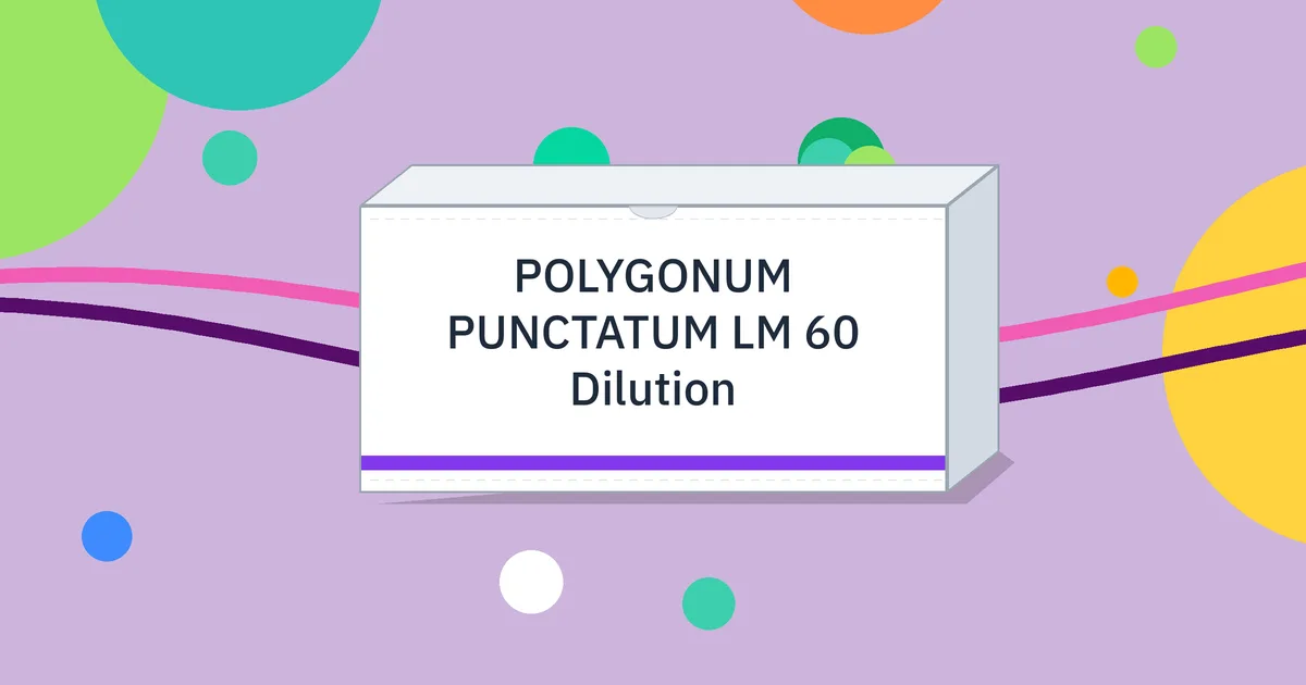 Symbolbild: Packung mit der Aufschrift POLYGONUM PUNCTATUM LM 60 Dilution (PZN 13663110) – Verfügbarkeit und Bezug in Apotheken in Frankfurt am Main
