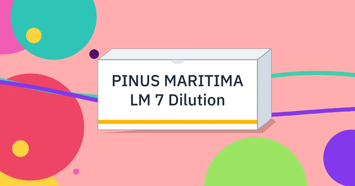 Symbolbild: Packung mit der Aufschrift PINUS MARITIMA LM 7 Dilution (PZN 13644288) – Verfügbarkeit und Bezug in Apotheken in Frankfurt am Main