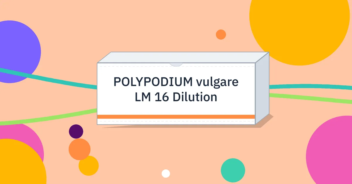 Symbolbild: Packung mit der Aufschrift POLYPODIUM vulgare LM 16 Dilution (PZN 13663386) – Verfügbarkeit und Bezug in Apotheken in Frankfurt am Main