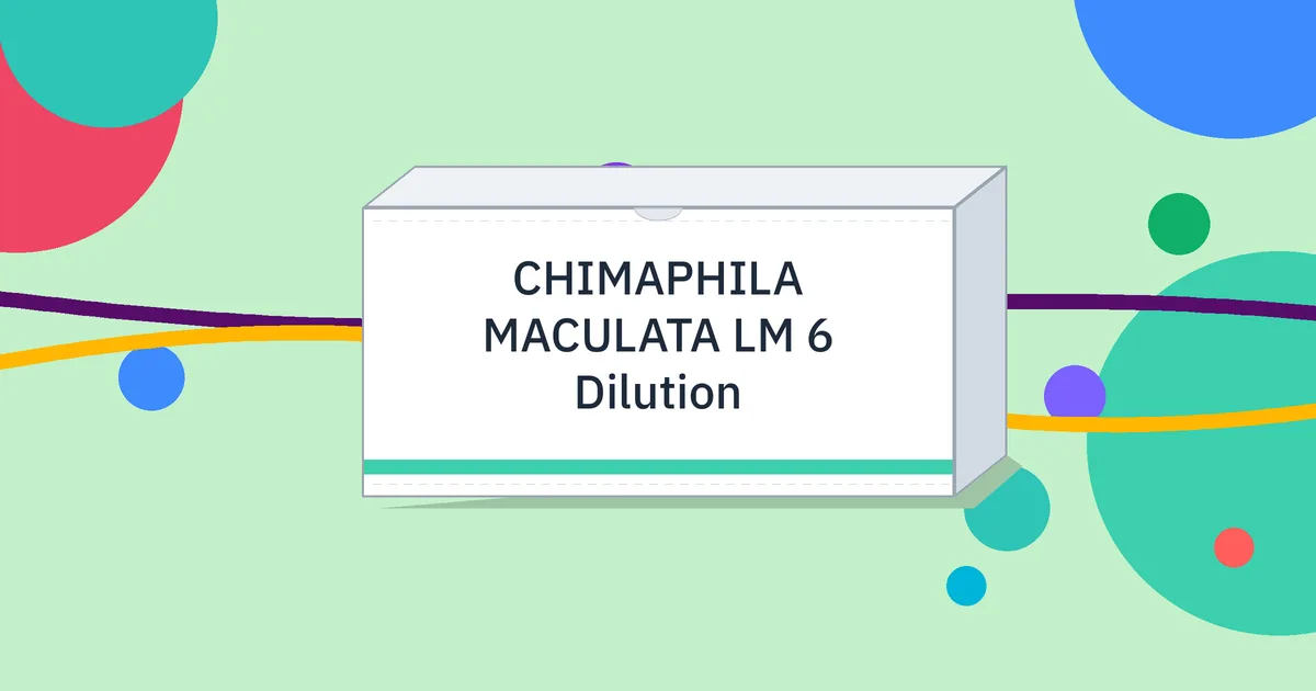 Symbolbild: Packung mit der Aufschrift CHIMAPHILA MACULATA LM 6 Dilution (PZN 13441705) – Verfügbarkeit und Bezug in Apotheken in Frankfurt am Main