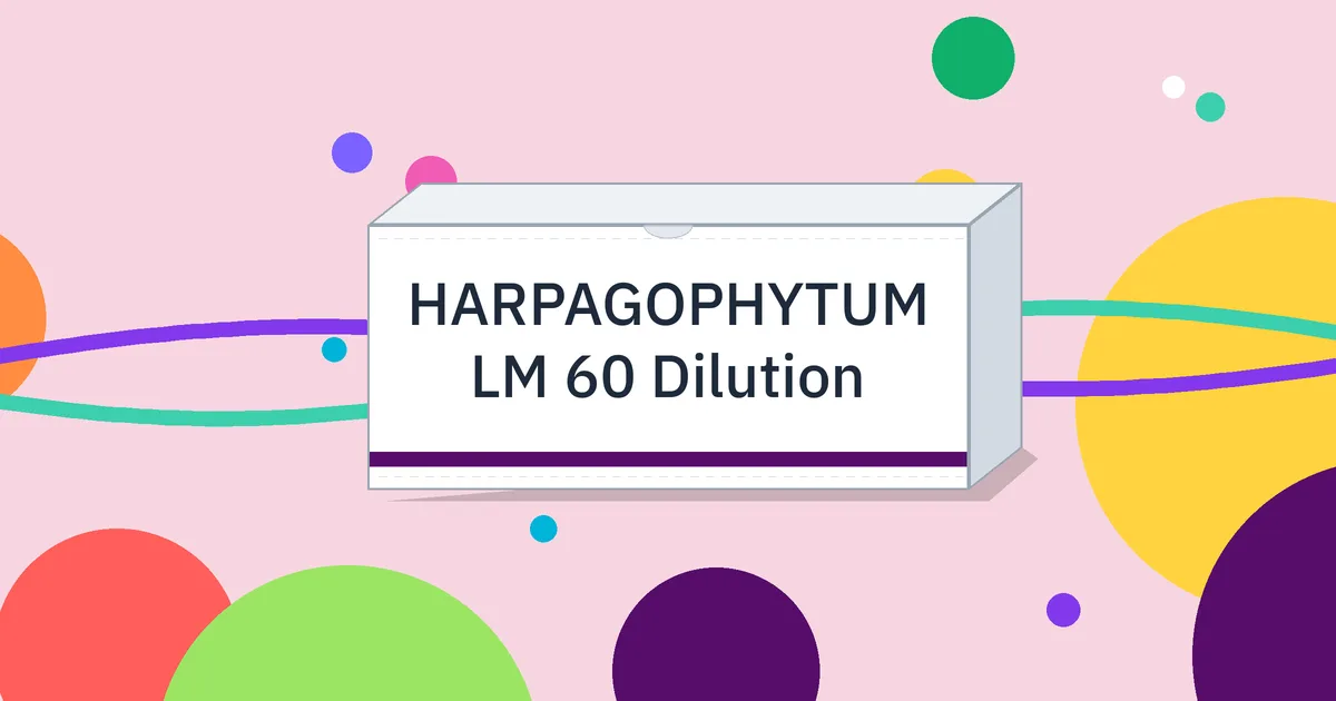 Symbolbild: Packung mit der Aufschrift HARPAGOPHYTUM LM 60 Dilution (PZN 13550937) – Verfügbarkeit und Bezug in Apotheken in Frankfurt am Main