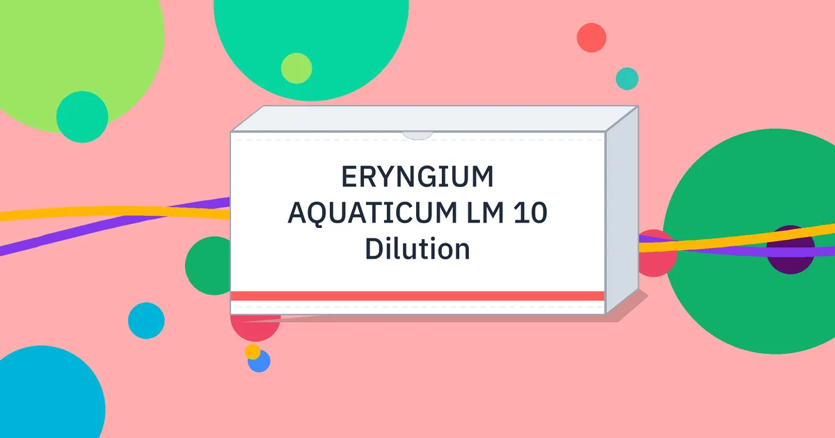 Symbolbild: Packung mit der Aufschrift ERYNGIUM AQUATICUM LM 10 Dilution (PZN 13478559) – Verfügbarkeit und Bezug in Apotheken in Frankfurt am Main