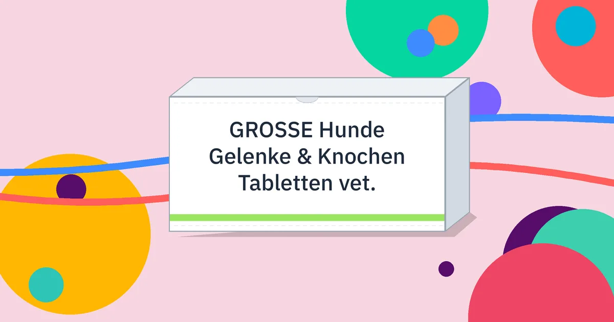 Symbolbild: Packung mit der Aufschrift GROSSE Hunde Gelenke & Knochen Tabletten vet. (PZN 19459451) – Verfügbarkeit und Bezug in Apotheken in Frankfurt am Main