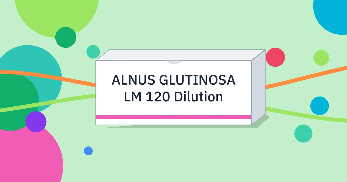 Symbolbild: Packung mit der Aufschrift ALNUS GLUTINOSA LM 120 Dilution (PZN 13312801) – Verfügbarkeit und Bezug in Apotheken in Frankfurt am Main