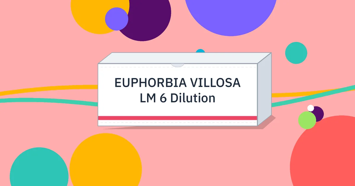 Symbolbild: Packung mit der Aufschrift EUPHORBIA VILLOSA LM 6 Dilution (PZN 13482667) – Verfügbarkeit und Bezug in Apotheken in Frankfurt am Main