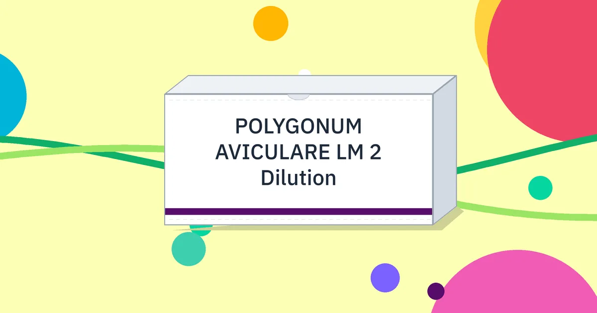 Symbolbild: Packung mit der Aufschrift POLYGONUM AVICULARE LM 2 Dilution (PZN 13661803) – Verfügbarkeit und Bezug in Apotheken in Frankfurt am Main