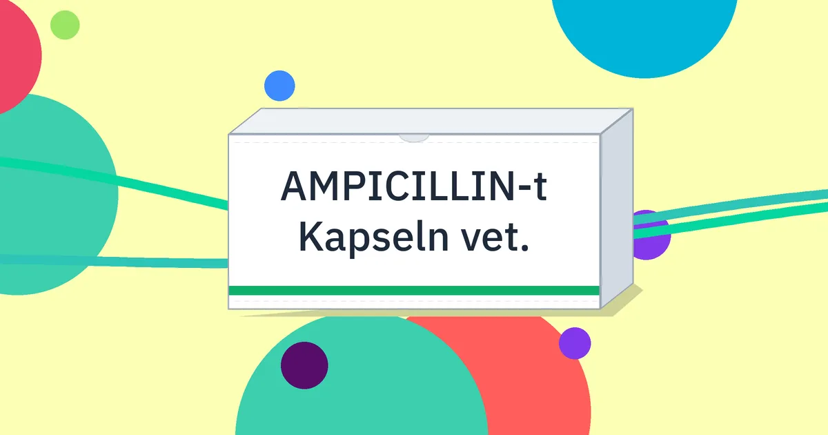Symbolbild: Packung mit der Aufschrift AMPICILLIN-t Kapseln vet. (PZN 03085712) – Verfügbarkeit und Bezug in Apotheken in Frankfurt am Main