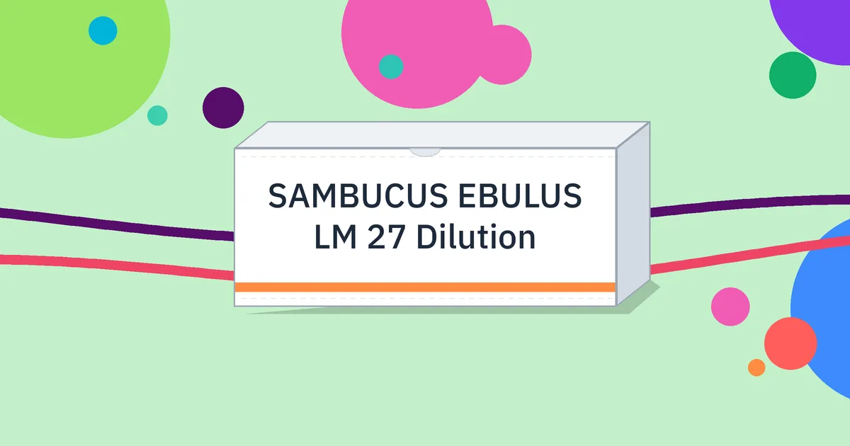Symbolbild: Packung mit der Aufschrift SAMBUCUS EBULUS LM 27 Dilution (PZN 13180593) – Verfügbarkeit und Bezug in Apotheken in Frankfurt am Main